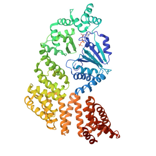 RCSB PDB - 6MFV: Crystal structure of the Signal Transduction ATPase ...