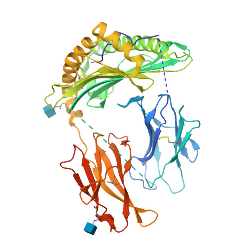 RCSB PDB - 6MP0: Crystal structures of the murine class I major ...