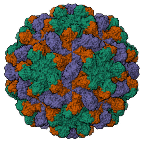 RCSB PDB - 6MRM: Red Clover Necrotic Mosaic Virus