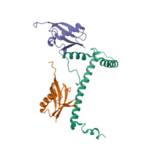 RCSB PDB - 6MUN: Structure of hRpn10 bound to UBQLN2 UBL