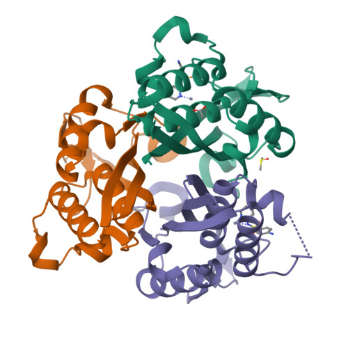 RCSB PDB - 6MWF: Crystal structure of 2C-methyl-D-erythritol 2,4 ...