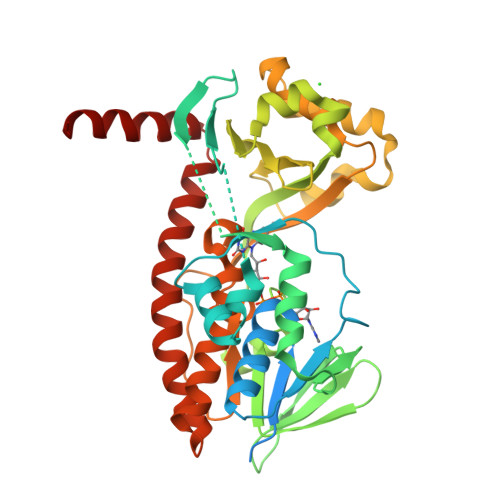 RCSB PDB - 6N04: The X-ray crystal structure of AbsH3, an FAD dependent ...