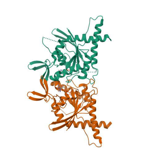 RCSB PDB - 6N0B: Structure of GTPase Domain of Human Septin 7 at High ...