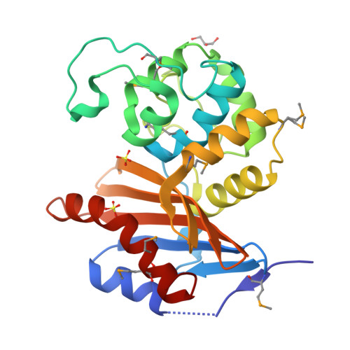 RCSB PDB - 6N1N: Crystal structure of class D beta-lactamase from ...