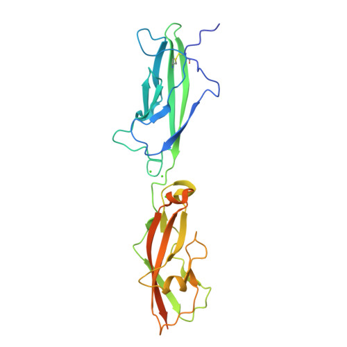 RCSB PDB - 6N22: Crystal structure of mouse Protocadherin-15 EC1-2 BAP
