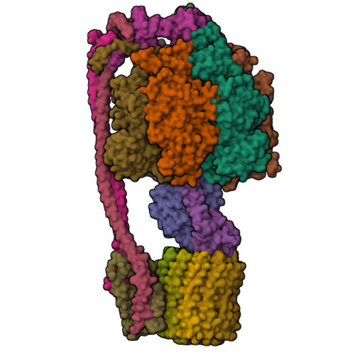 RCSB PDB - 6N2Y: Bacillus PS3 ATP synthase class 1