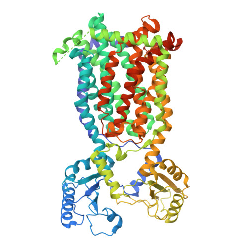 RCSB PDB - 6N40: Crystal structure of MmpL3 from Mycobacterium smegmatis