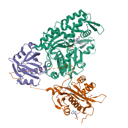 RCSB PDB - 6NAS: Ternary Complex of Ac-Alpha-Actin with Profilin and ...