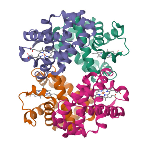 RCSB PDB - 6NBC: human methemoglobin state 1 determined using single ...