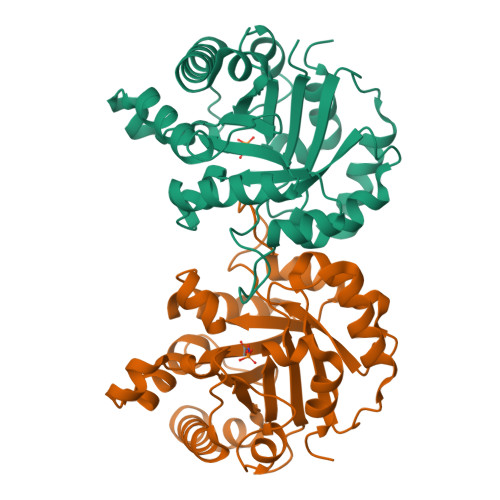 RCSB PDB - 6NEE: Crystal structure of a reconstructed ancestor of ...