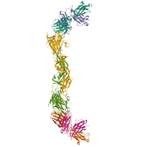 RCSB PDB - 6NIP: Crystal structure of a human anti-ZIKV-DENV ...
