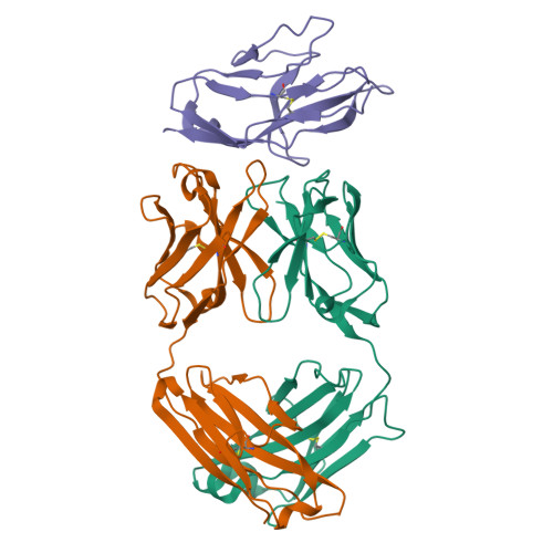 RCSB PDB - 6NMS: Blocking Fab 136 anti-SIRP-alpha antibody in complex ...