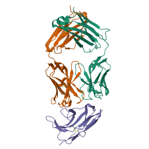 RCSB PDB - 6NMU: Kick-Off Fab 115 anti-SIRP-alpha antibody in complex ...