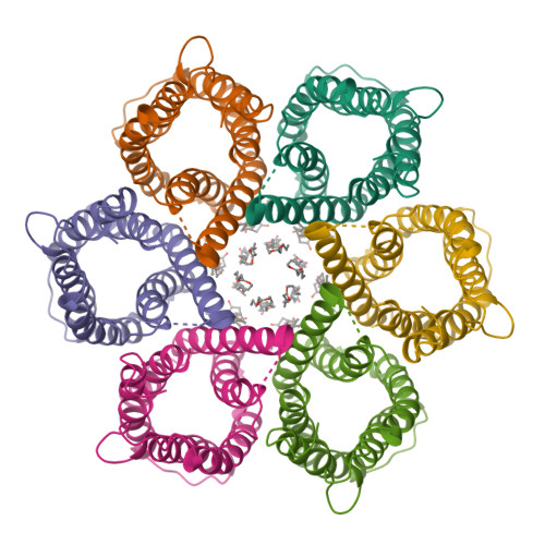 RCSB PDB - 6NSK: CryoEM structure of Helicobacter pylori urea channel ...