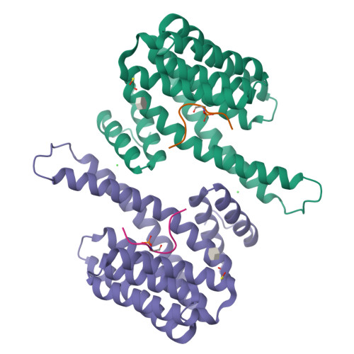 RCSB PDB - 6NV2: 14-3-3 sigma with RelA/p65 binding site pS45 in ...