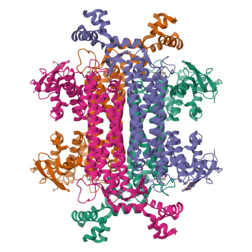 RCSB PDB - 6NZB: Crystal structure of E. coli fumarase C S318A variant ...
