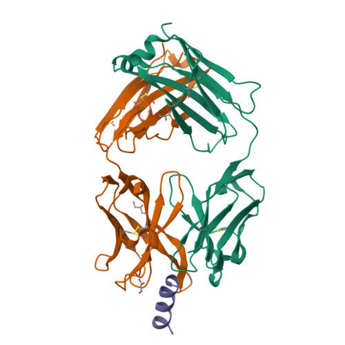 RCSB PDB - 6O42: Crystal structure of the germline PGZL1 (PGZL1_gVmDmJ ...
