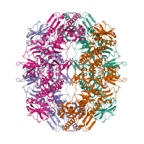 RCSB PDB - 6O6B: Rotavirus A-VP3 (RVA-VP3)