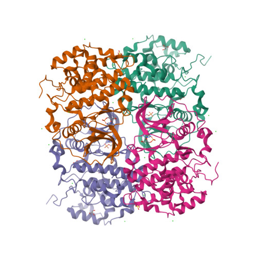 RCSB PDB - 6O6Q: Crystal structure of Cka1p, a casein kinase 2 alpha ...
