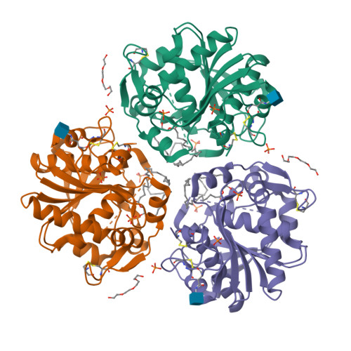 RCSB PDB - 6O8V: The structure of lipase from Thermomyces Lanuginosa in ...