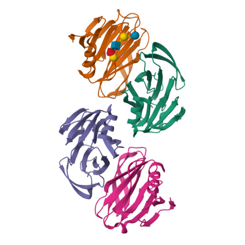 RCSB PDB - 6OAI: Crystal structure of P[6] rotavirus vp8* complexed ...