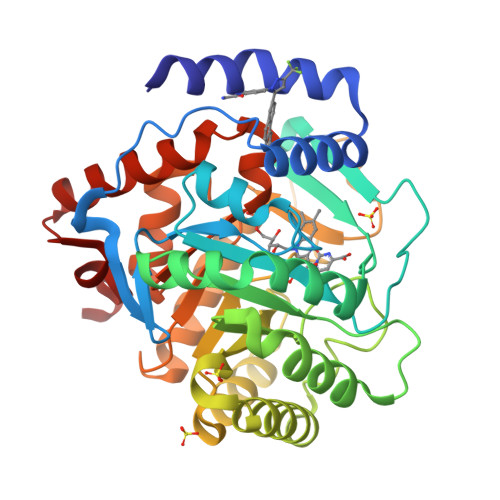RCSB PDB - 6OC0: Crystal structure of human DHODH with OSU-03012