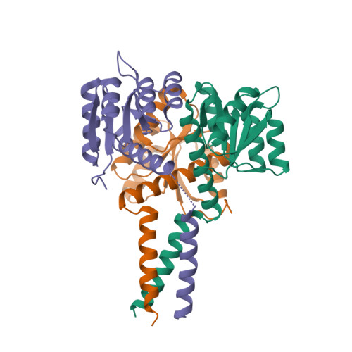 RCSB PDB - 6OEC: Yeast Spc42 Trimeric Coiled-Coil Amino Acids 181-211 ...