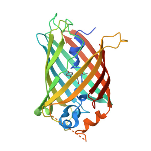 RCSB PDB - 6OFK: Crystal structure of green fluorescent protein (GFP ...