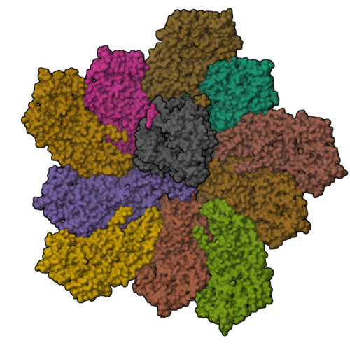 RCSB PDB - 6OJ5: In situ structure of rotavirus VP1 RNA-dependent RNA ...