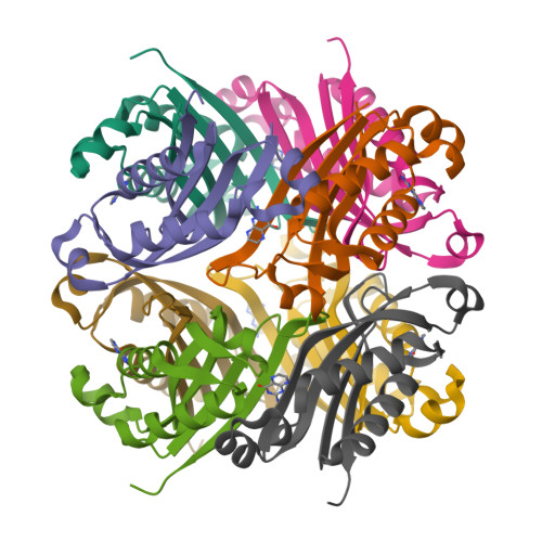 RCSB PDB - 6OJO: Dihydroneopterin aldolase (DHNA) from Yersinia pestis ...