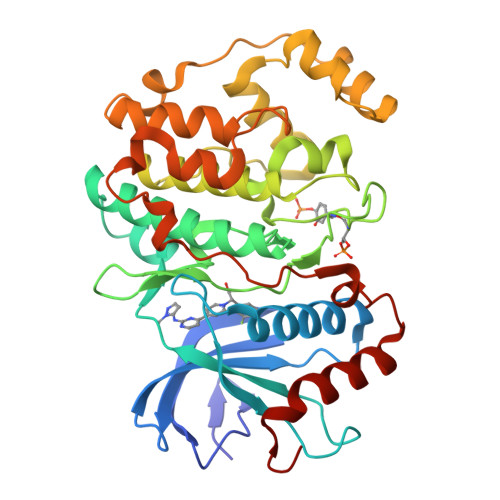 RCSB PDB - 6OPH: phosphorylated ERK2 with GDC-0994
