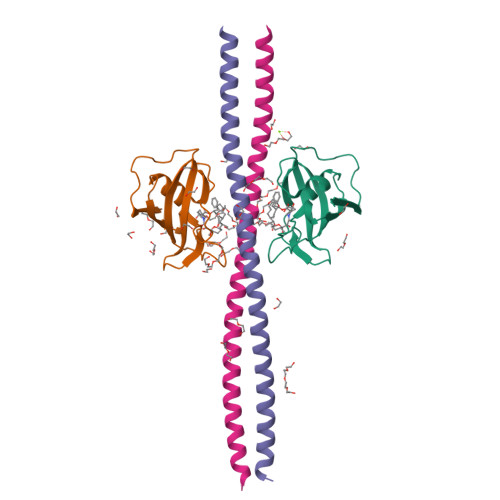 RCSB PDB - 6OQA: Crystal structure of CEP250 bound to FKBP12 in the ...