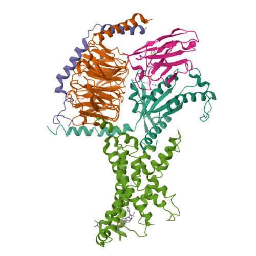 RCSB PDB - 6ORV: Non-peptide agonist (TT-OAD2) bound to the Glucagon-Like peptide-1 (GLP-1) Receptor