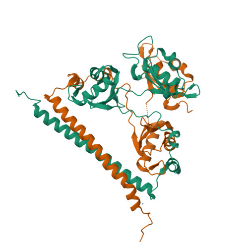 RCSB PDB - 6OWJ: Zn-mediated polymerization of human SFPQ