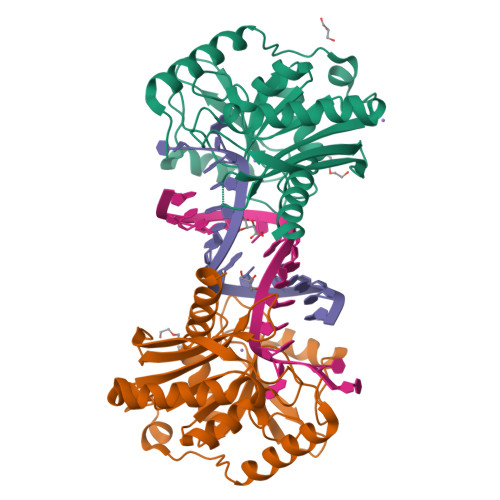 RCSB PDB - 6OZL: Crystal structure of Mus musculus (Mm) Endonuclease V ...