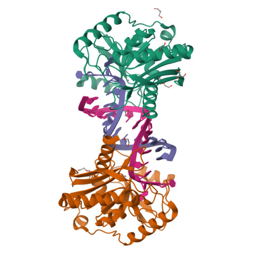 RCSB PDB - 6OZM: Crystal structure of Mus musculus (Mm) Endonuclease V ...