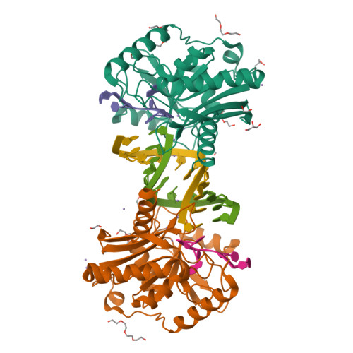 RCSB PDB - 6OZP: Crystal structure of Mus musculus (Mm) Endonuclease V ...
