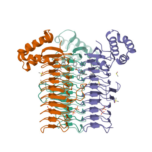 RCSB PDB - 6P9P: E.coli LpxA in complex with Compound 1