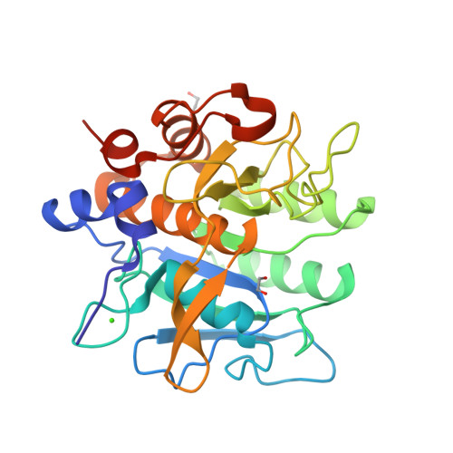 RCSB PDB - 6PAK: Insight into subtilisin E-S7 cleavage pattern based on ...