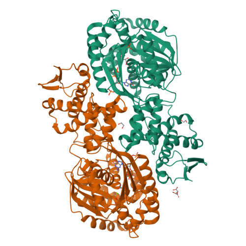 RCSB PDB - 6PC1: Crystal structure of Helicobacter pylori PPX/GppA ...