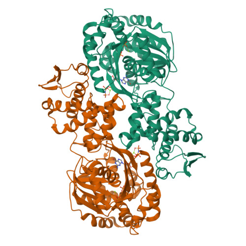 RCSB PDB - 6PC2: Crystal structure of Helicobacter pylori PPX/GppA in ...