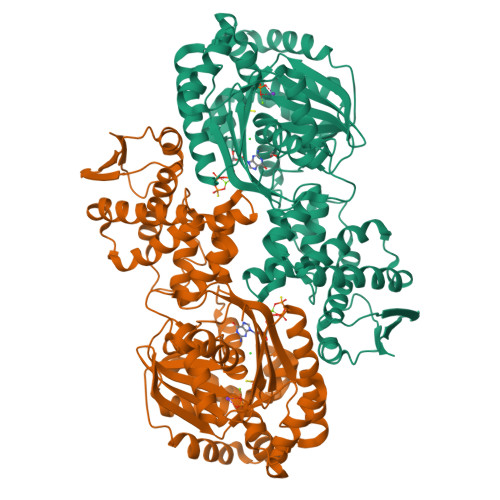 RCSB PDB - 6PC3: Crystal structure of Helicobacter pylori PPX/GppA in ...
