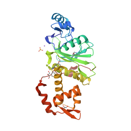 RCSB PDB - 6PDC: Crystal structure of MYST acetyltransferase domain in ...