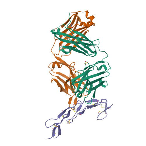 RCSB PDB - 6PE9: Crystal Structure of CD40 complexed to FAB516