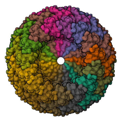 RCSB PDB - 6PEE: InvG secretin domain beta-barrel from Salmonella SPI-1 ...