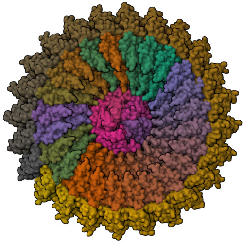 RCSB PDB - 6PEM: Focussed refinement of InvGN0N1:SpaPQR:PrgHK from ...