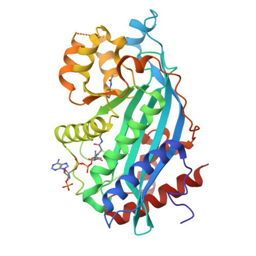 RCSB PDB - 6PGU: Crystal structure of the p300 acetyltransferase domain ...