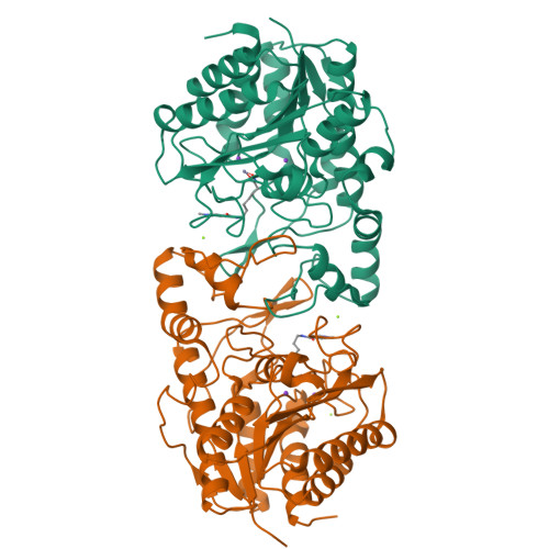 RCSB PDB - 6PI1: Crystal structure of Marinobacter subterrani ...
