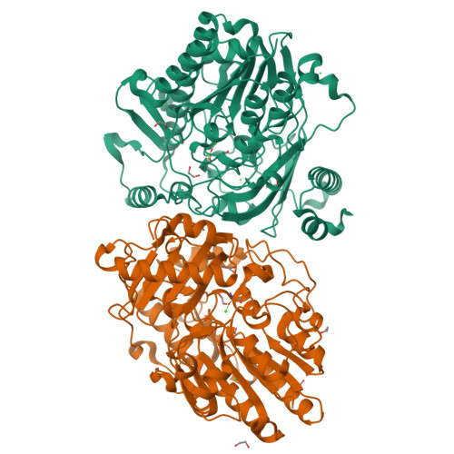 RCSB PDB - 6PT4: Crystal structure of apo PsS1_NC
