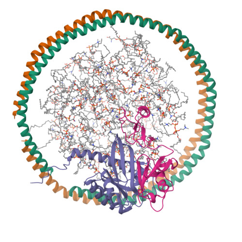 RCSB PDB - 6PTS: NMR data-driven model of KRas-GMPPNP:RBD-CRD complex ...